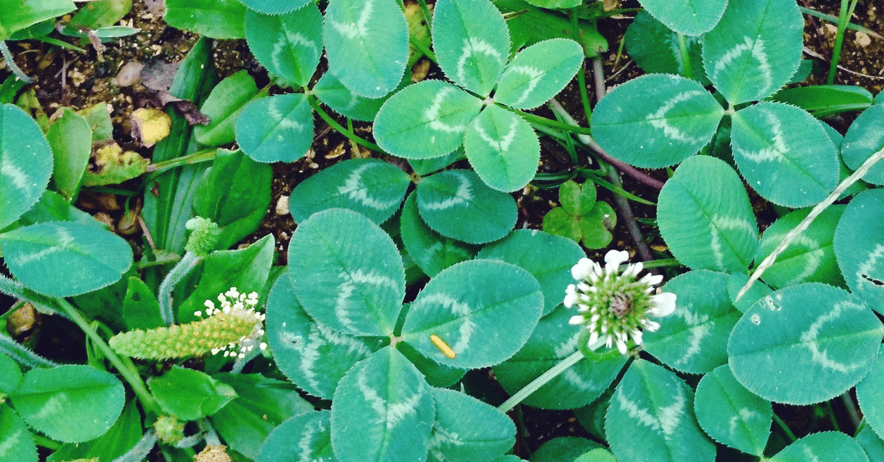 20220829_今日もエンタメありがとう｜うま