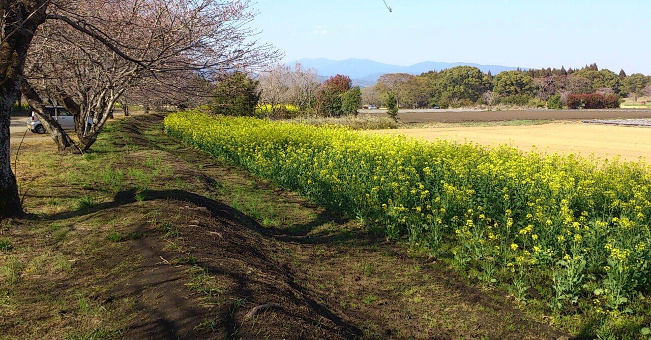 リール動画投稿しました‼️｜HIKO POI east1292556