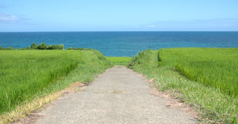 梅田 優希/Masaki Umeda｜note