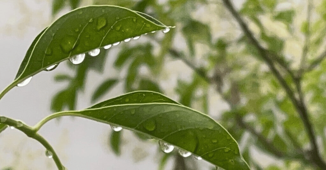 後藤邑子さんの「今を生きること」、壮絶人生に学ぶ 9月1日 Know Thy Time 汝の時間を知れ｜ごんごんごんちゃん