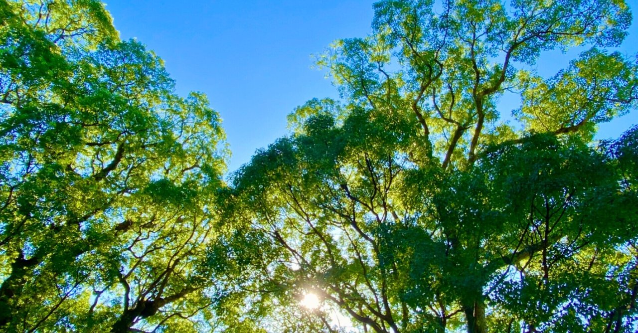 はしわたし｜TresMe@Keisuke