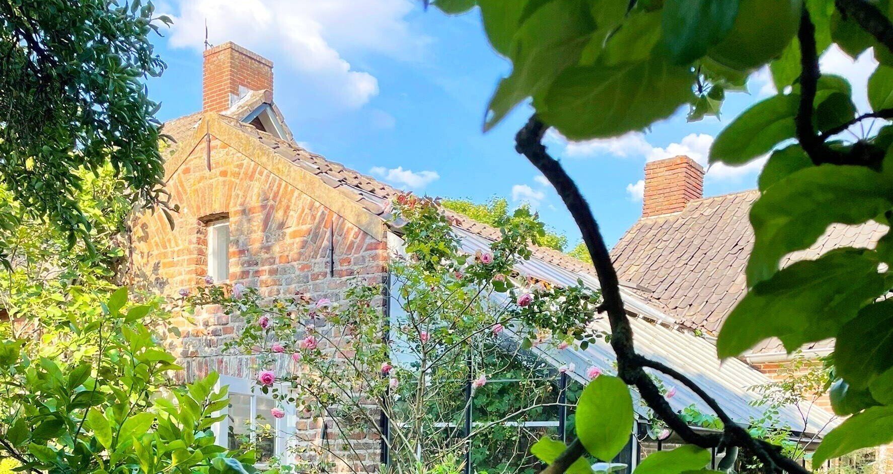 daako【MY SENSE】｜note