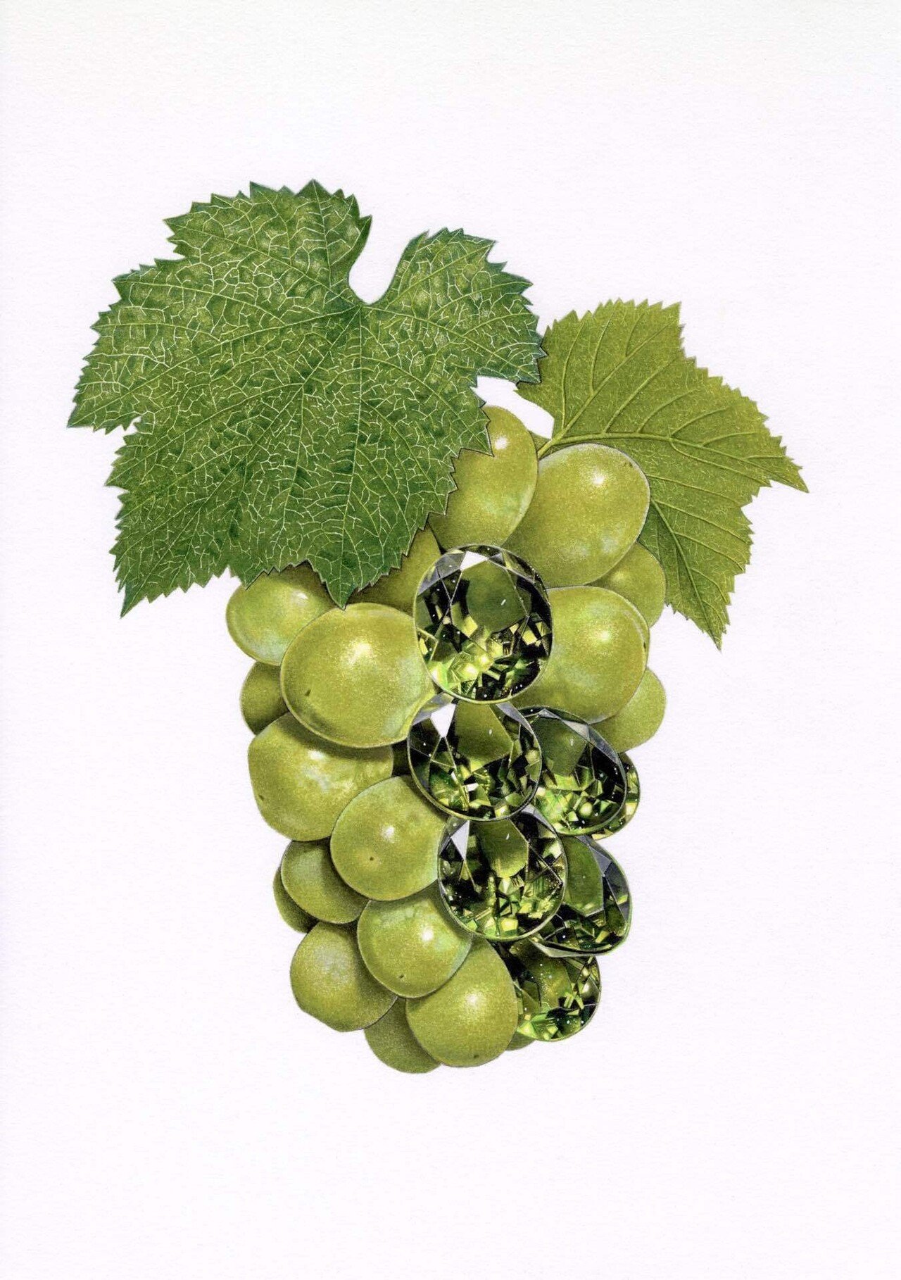 マスカット×ペリドット｜安部祐一朗 Yuichiro Abe