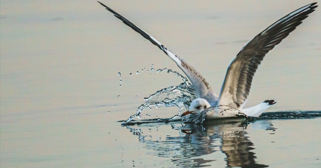 TAMRON Zマウント参入に関して｜005 akkiy