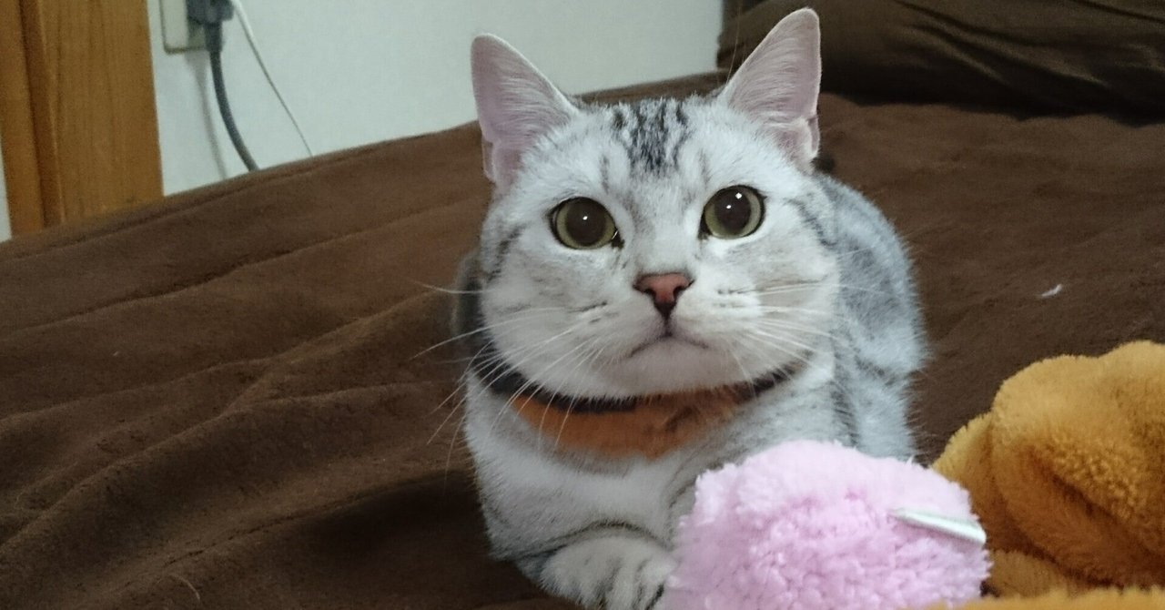 奇跡講座WB実践61 私は世の光である｜(Linp&Ruru)本当の自分を知り、本当の自分として生きる