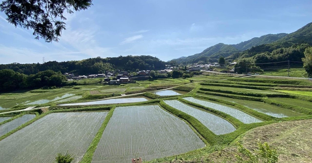偶然何度も見かけた波佐見町の名前、ずっと気になってたけどnoteで繋がった！｜nanako K