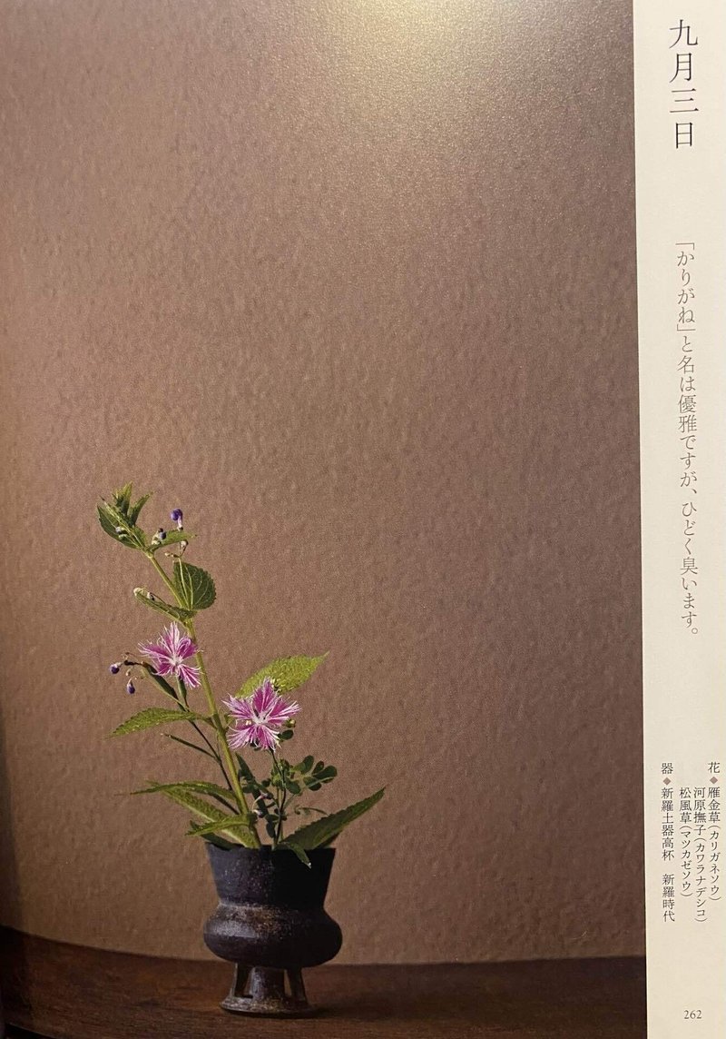 僕の本棚 一日一花｜shinmr｜note