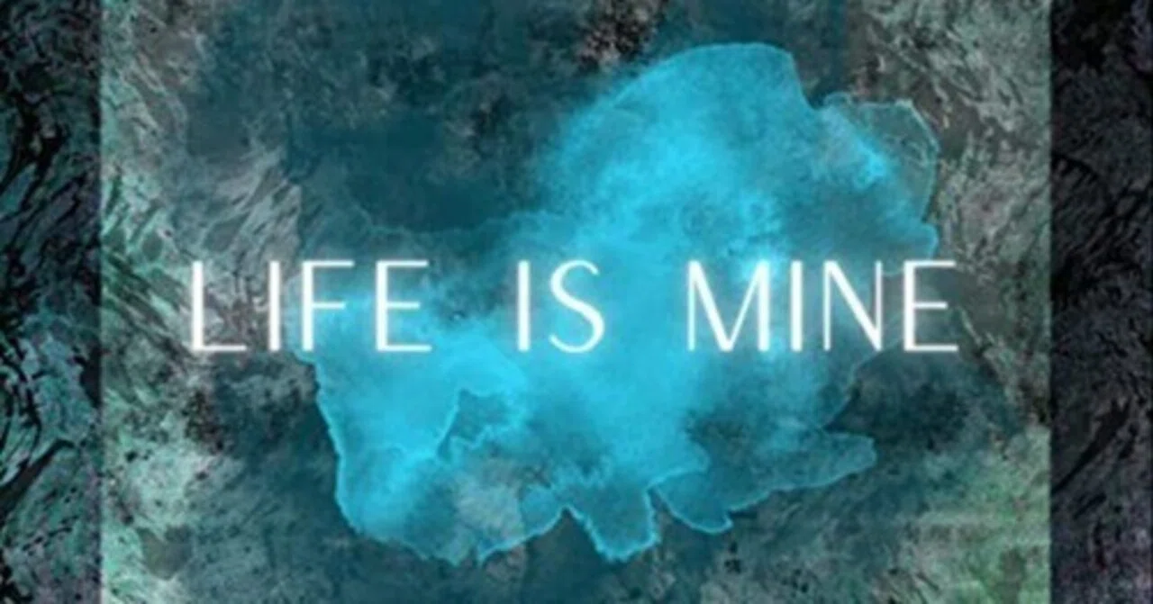 【LIFE IS MINE】あなたは替えの効く人間ですか？｜ゆうき＠SNSが仕事の大学生