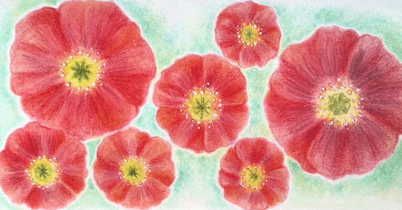 わたしのわたしによるわたしのための貧血対策｜Hanon