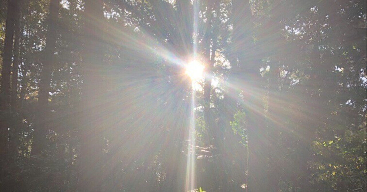 Instructor｜君子花 kimiko｜note