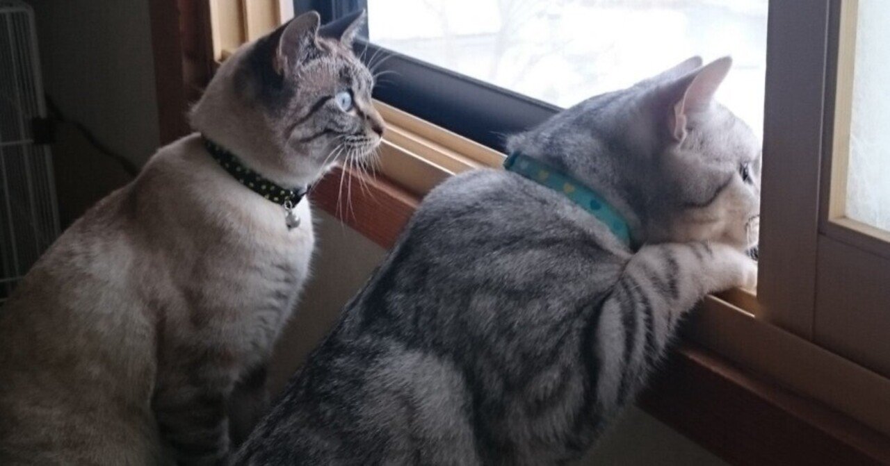 奇跡講座WB実践63 世の光は、私の赦しを通して、すべての心に平安をもたらす｜(Linp&Ruru)本当の自分を知り、本当の自分として生きる