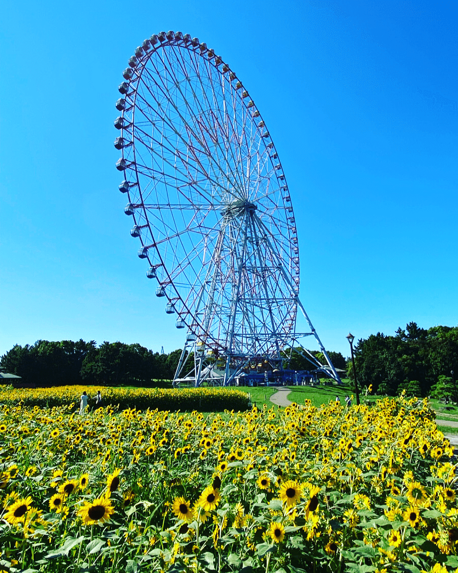 東京建築巡り〜ダイヤと花の大観覧車 ｜東京の建築&アート巡りオタク@tanrock