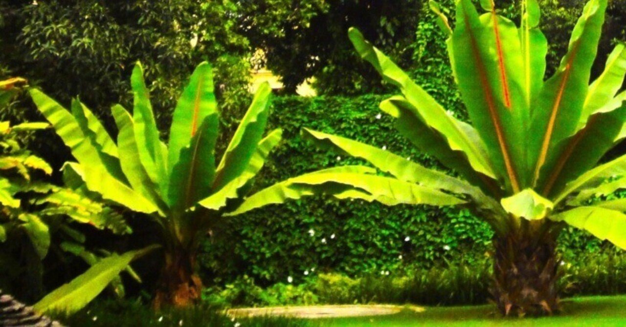 4. 蚊よ｜ayano_leizen 冷泉文野