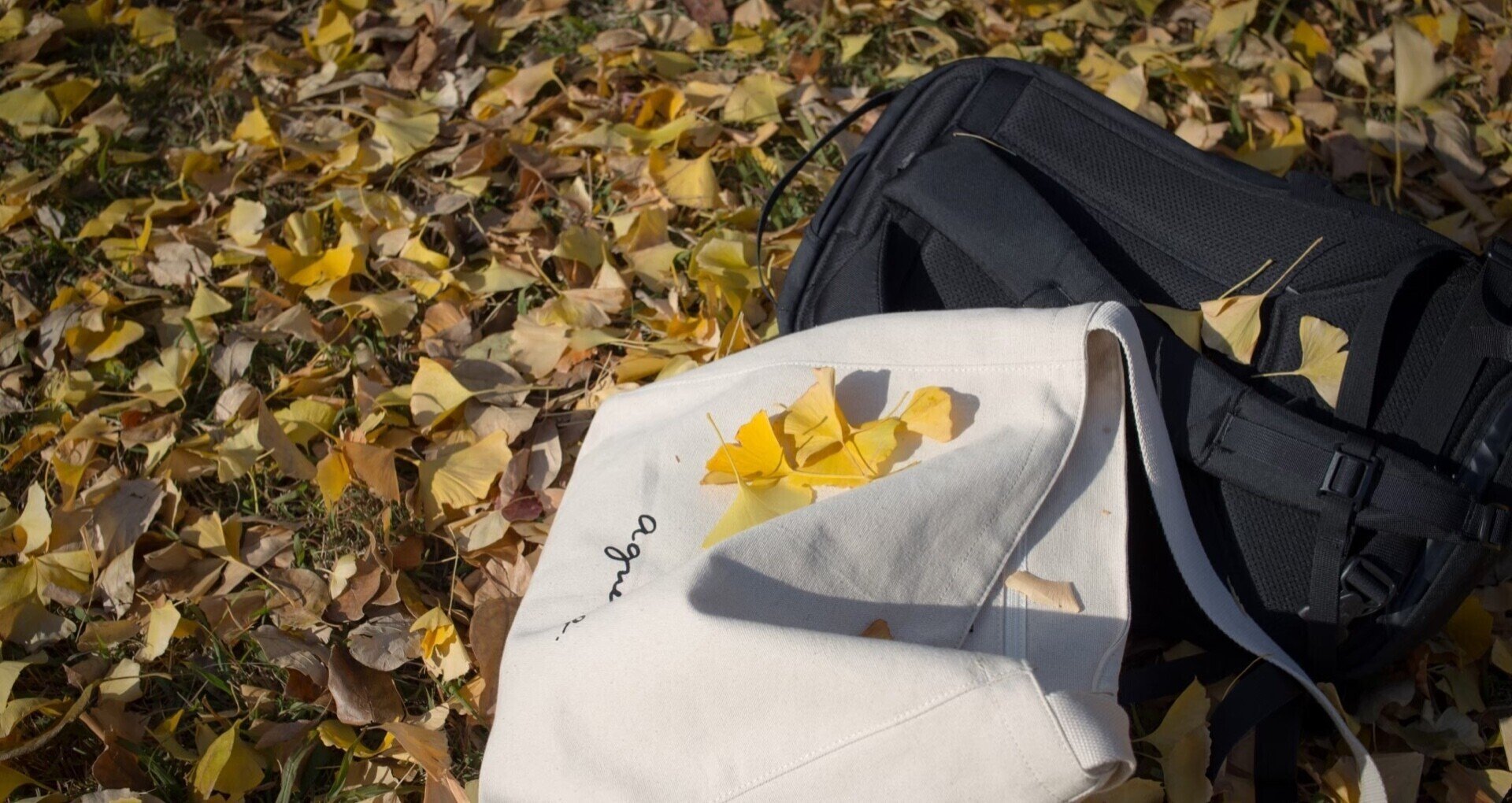 てくてくmag｜note