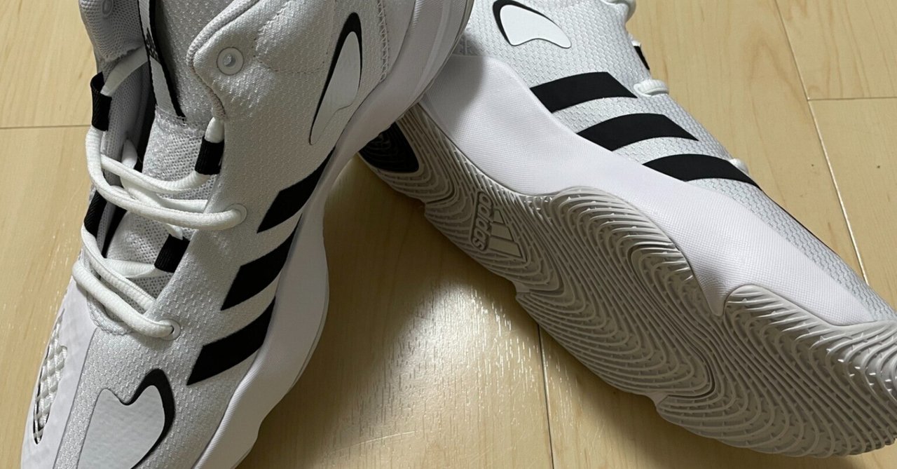 PRO N3XT 2021 Performance Review｜Brankなんとか