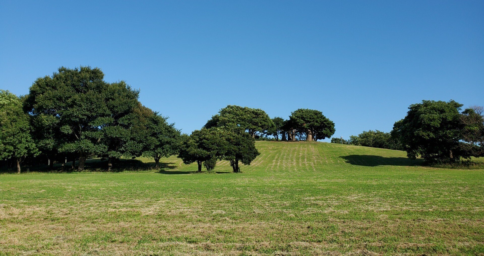 madame rie（マダムりえ）｜note