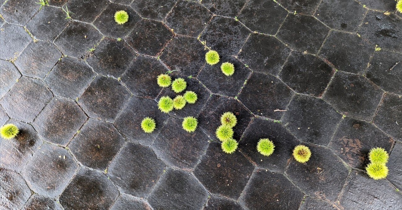 TypeScript 入門の記録（30）プロを目指す人のためのTypeScript入門（15）比較演算子とNaN｜jnkykn