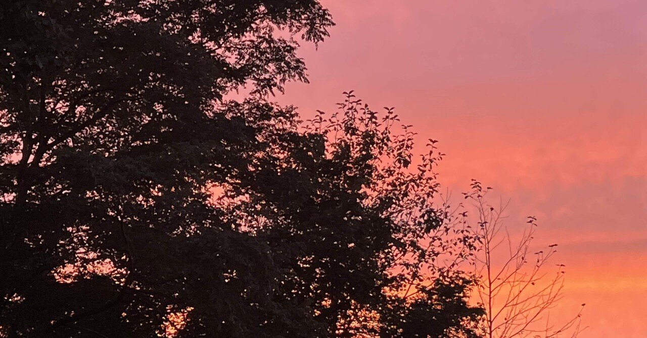 夕陽｜榛風 志堆/Harukaze Shite