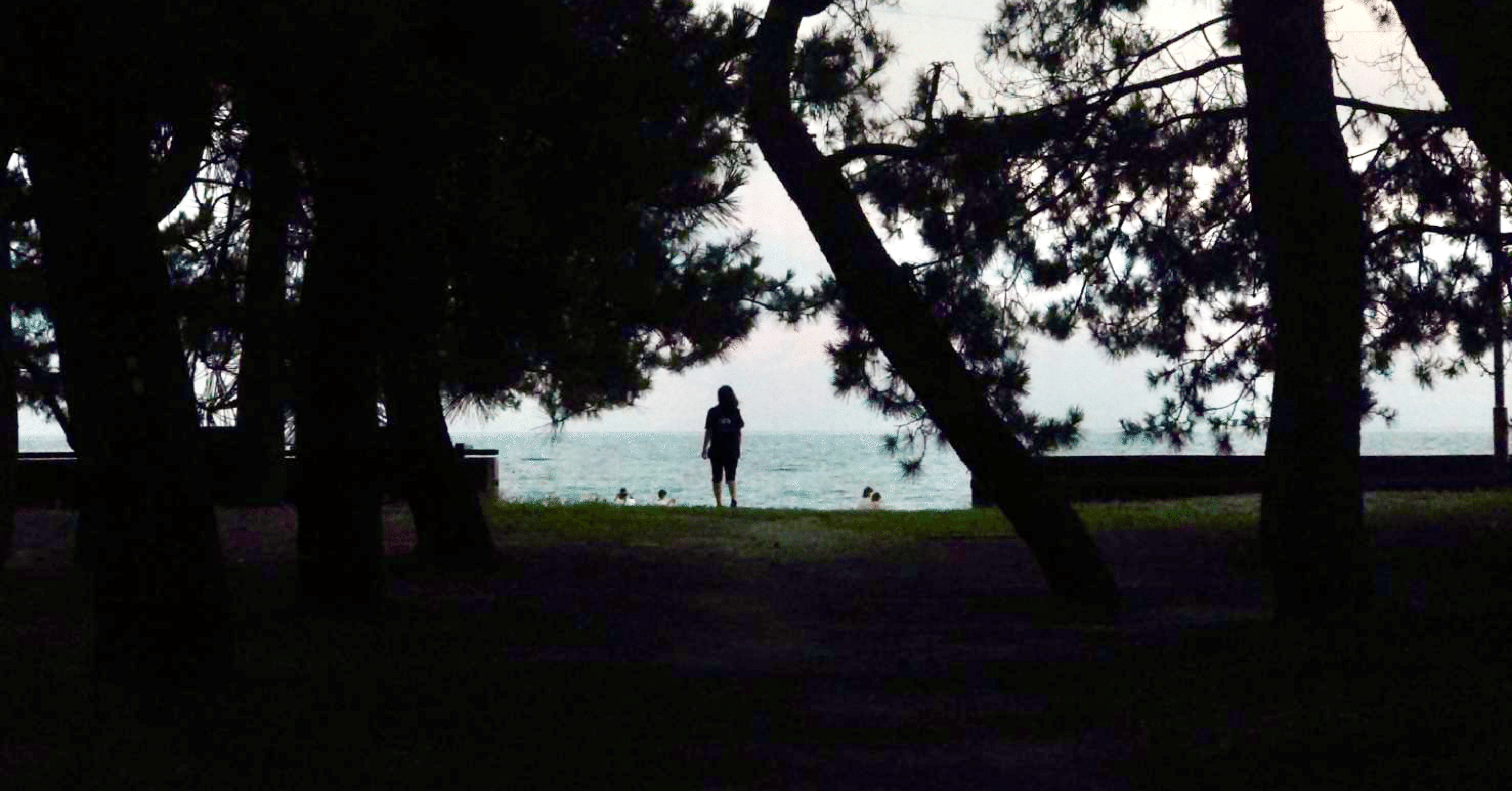 note公式マガジンにピックしていただいた記事｜SATOKOD｜note