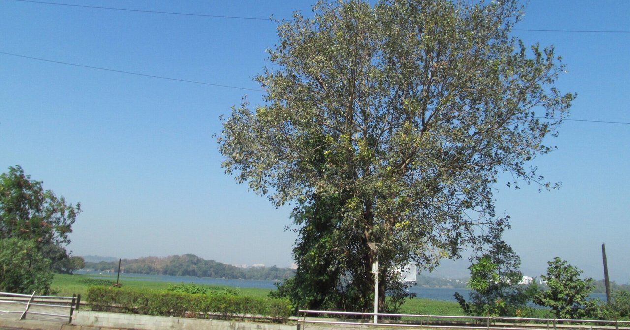 from outside 1. 雨上がり｜ayano_leizen 冷泉文野