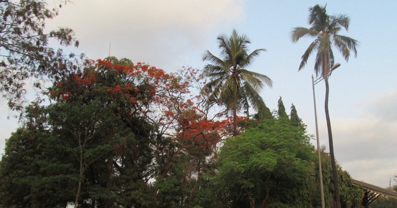 8. 年の瀬｜ayano_leizen 冷泉文野｜note