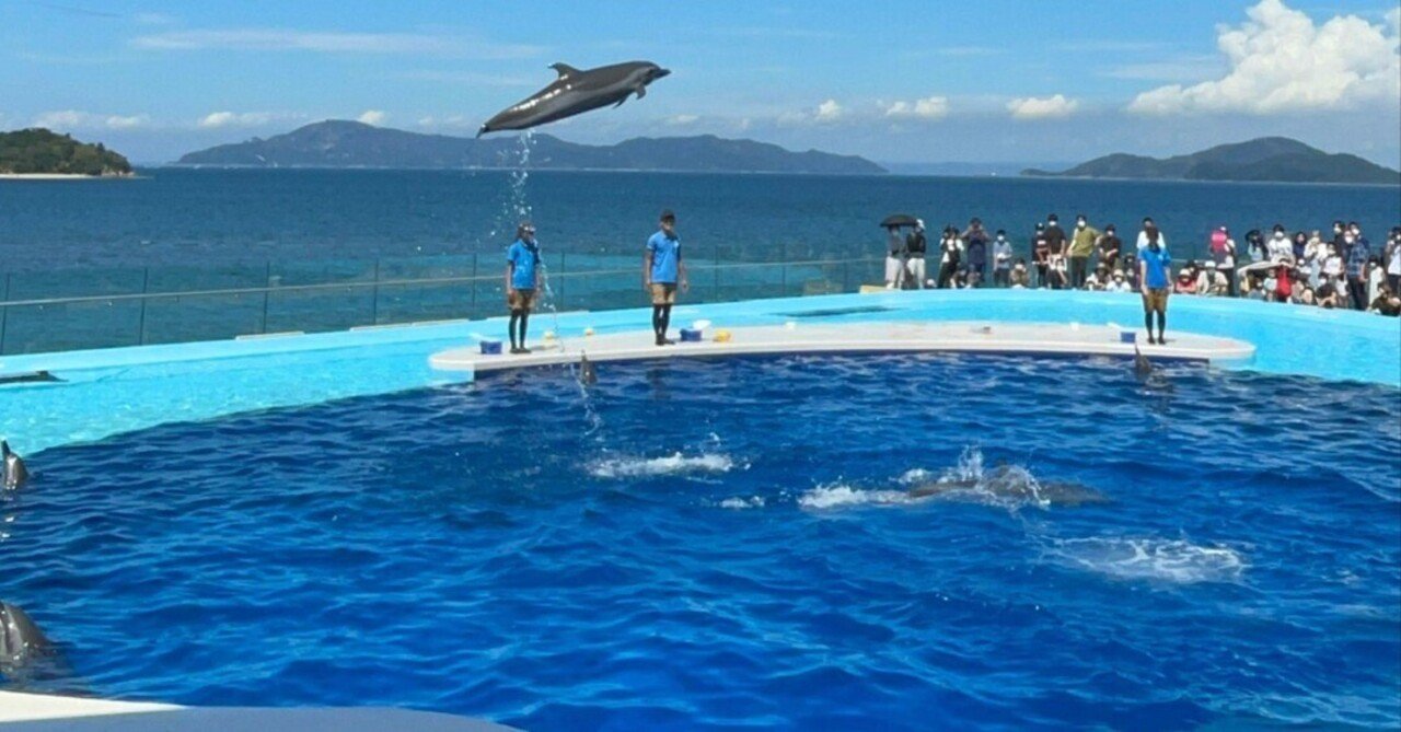 四国水族館｜fudo_tsuyoshi