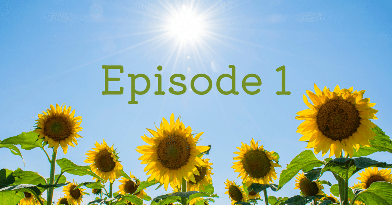 【Episode 1】「You, 写真集作っちゃいなよ」確かに感じた可能性｜Ayaka Onodera (あーりん)