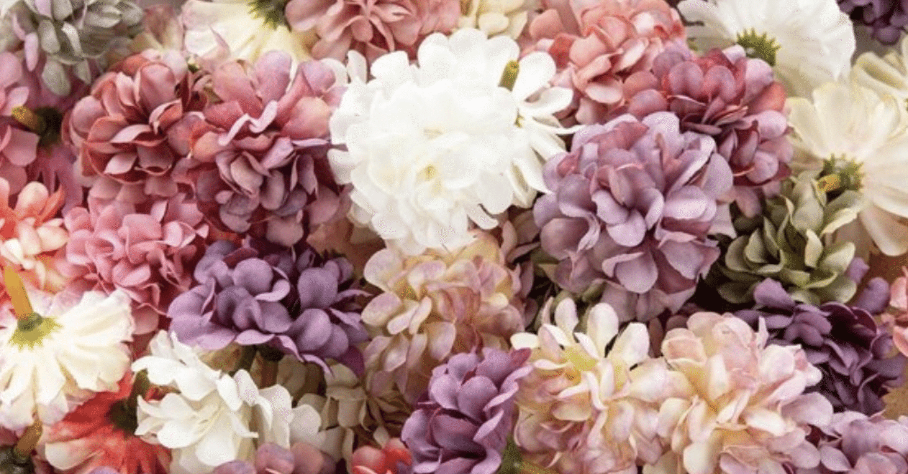 エクストラ(extra whip)｜note