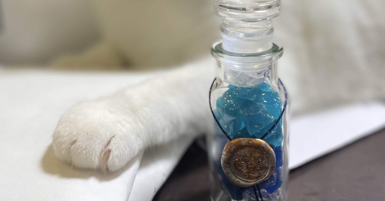 🧷表現と余地｜shezoo｜note