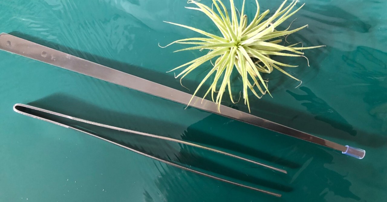 ふと・・・思う｜poporin