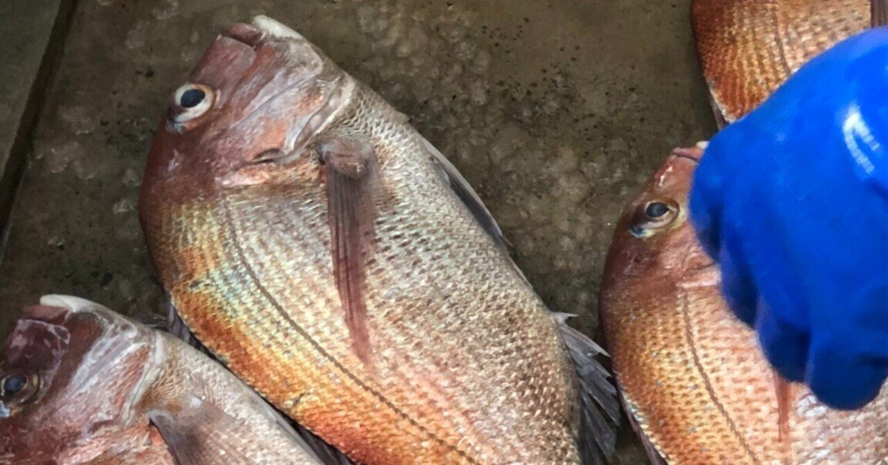 Hideyuki Shibata｜note