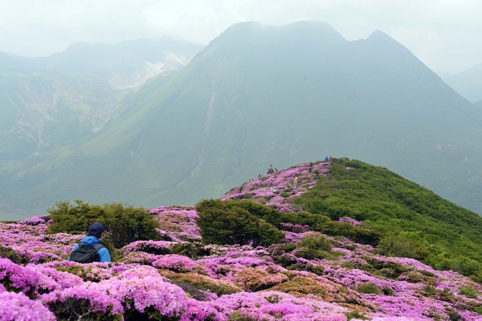 Kohei Higuchi｜note