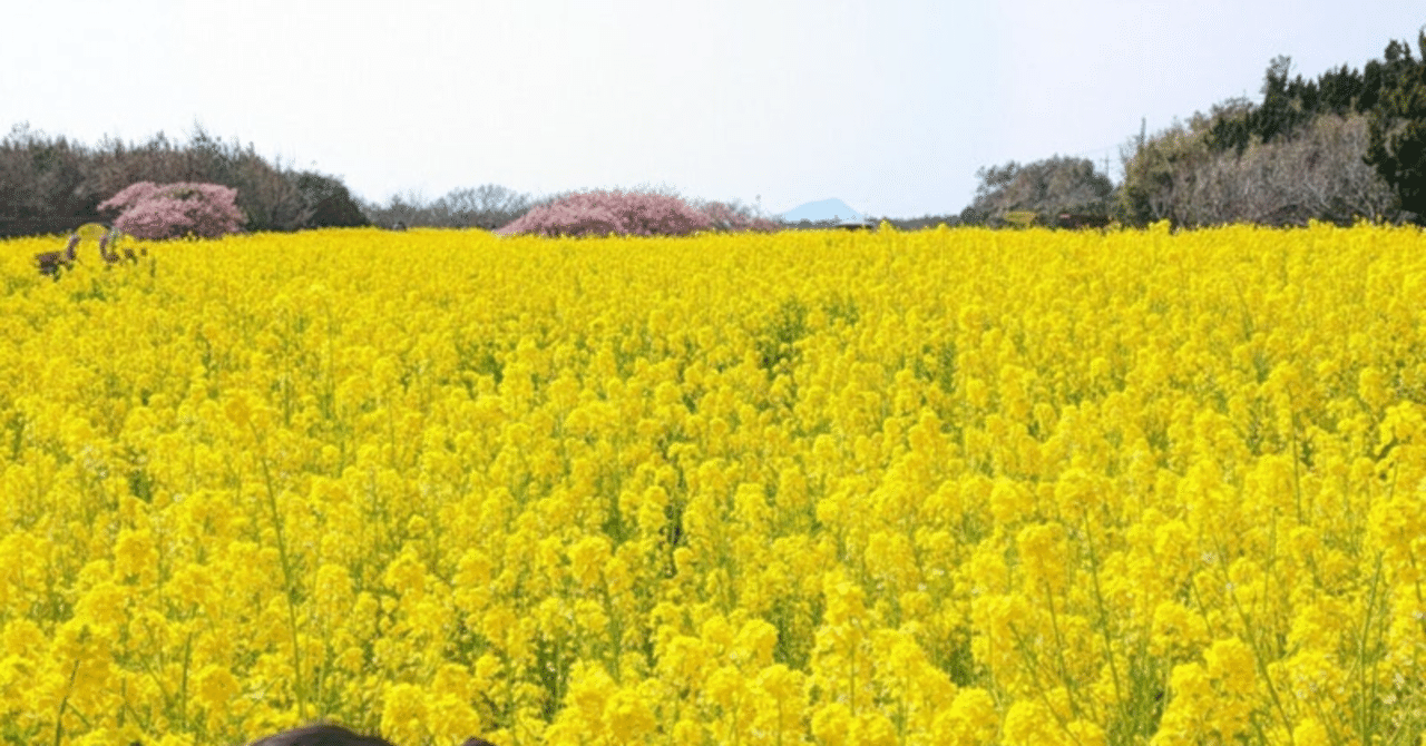 セルフカウンセリング｜yucco★hokkaido