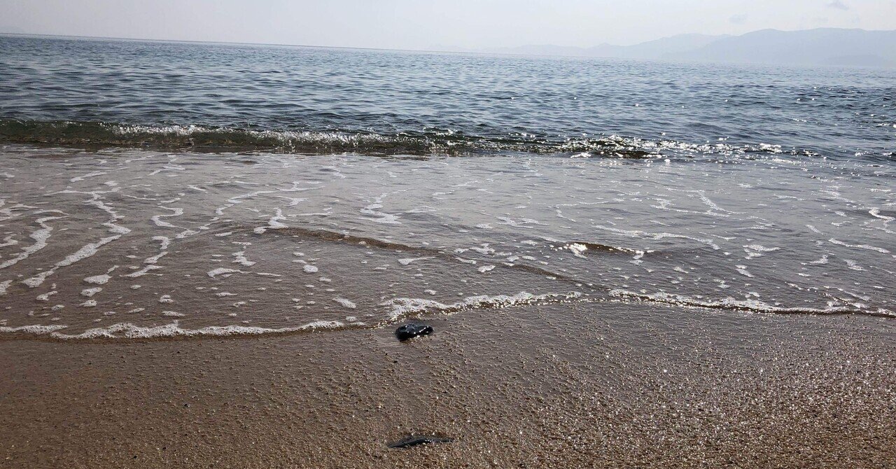 一生を振り返る(就活から就職、そして現在まで)/56日目｜baka_yuki