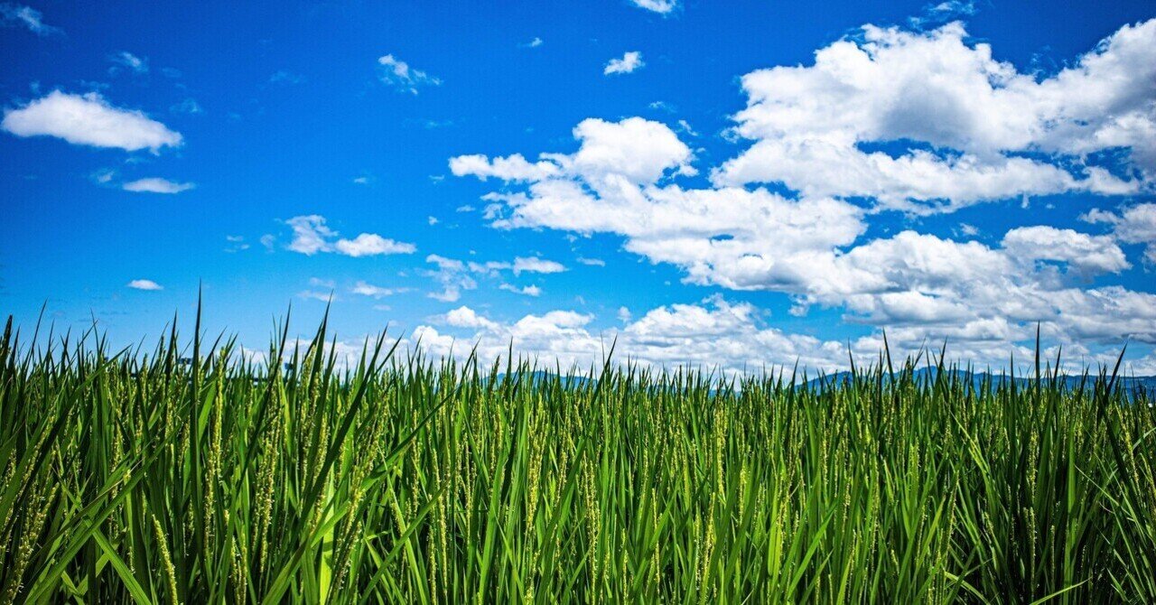 ぼーーーとしたくなる時｜KAZUKI｜note