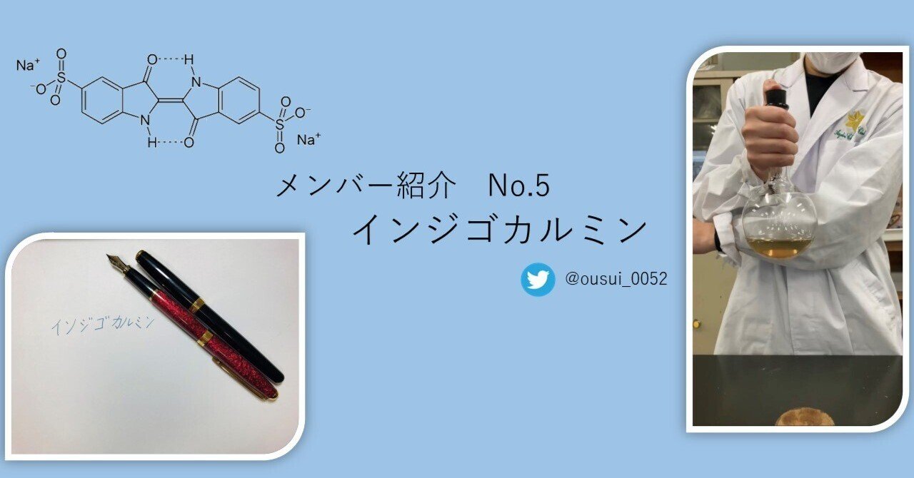 メンバー紹介⑤｜CrimsonNinjas_jp