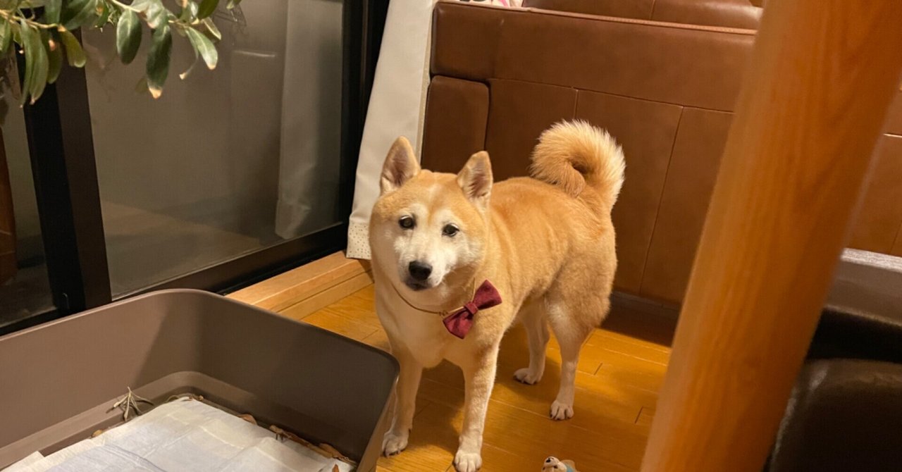 ついに髪の毛が抜けはじめました｜Kana_days