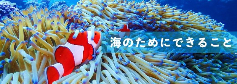 海の音 - umi no oto - by FURUNO｜note