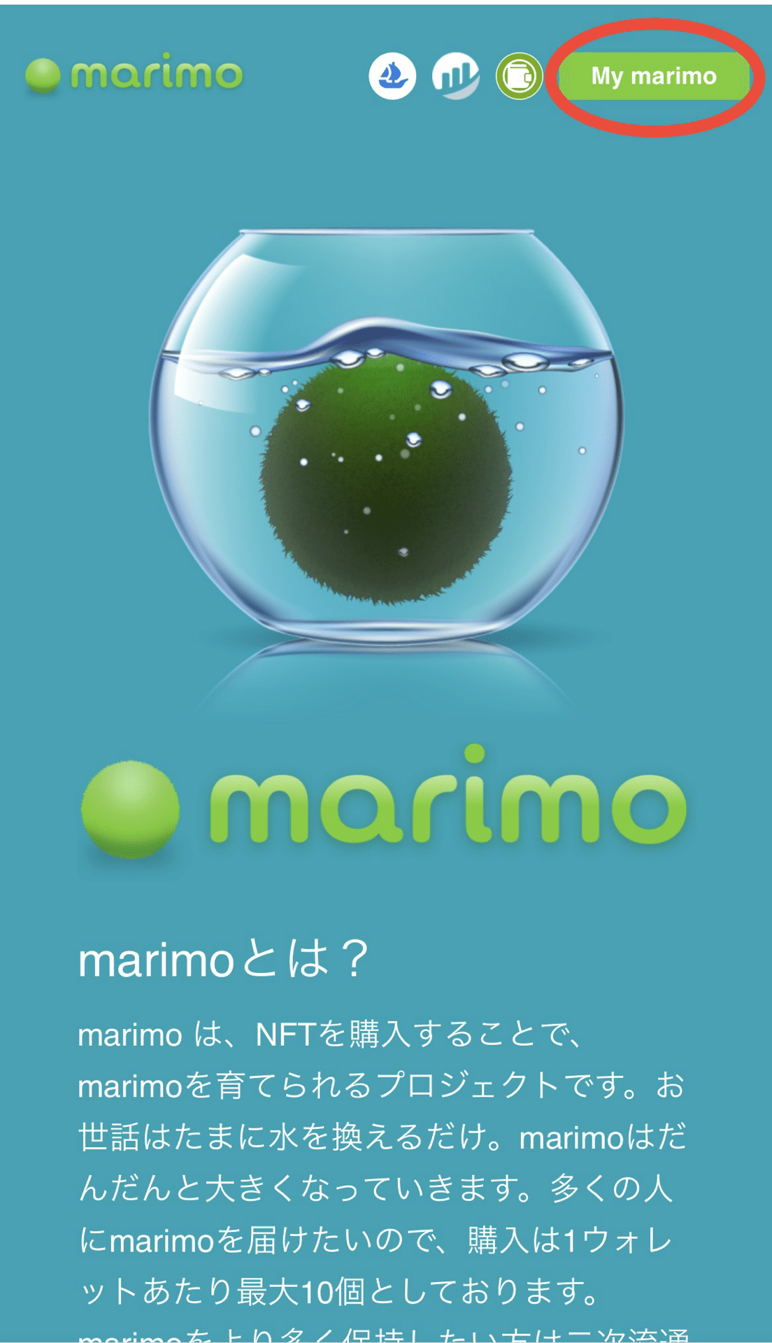 marimo NFT｜nemigi-ユウキ⭐︎