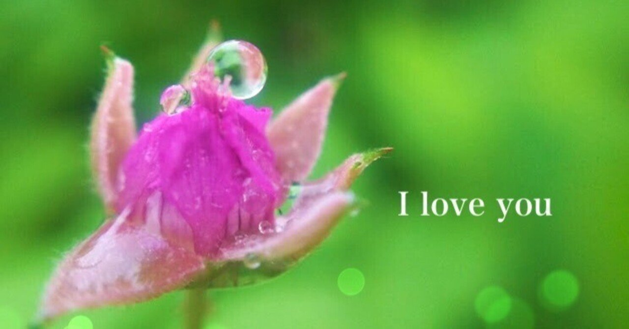 想いはちゃんと、届いているから。｜Sunao♡LOVE＆『優しい』マーケティング♡｜note