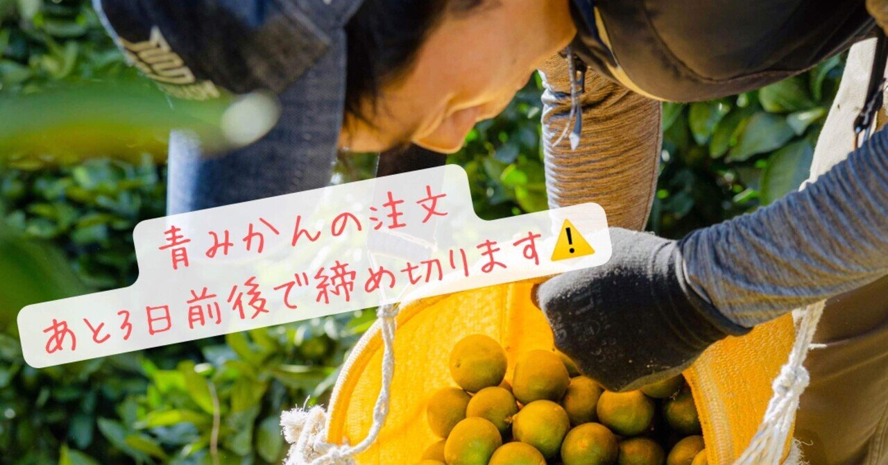 🍊青みかん🍊｜🍊みかんのみっちゃん🍊