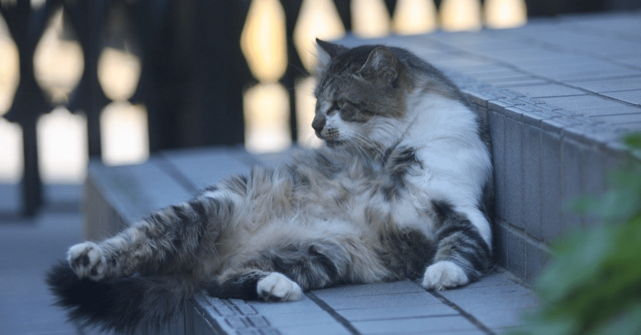 保護オンゲン｜Kanako＝呼び名、所属などは→【rural、ケルP】