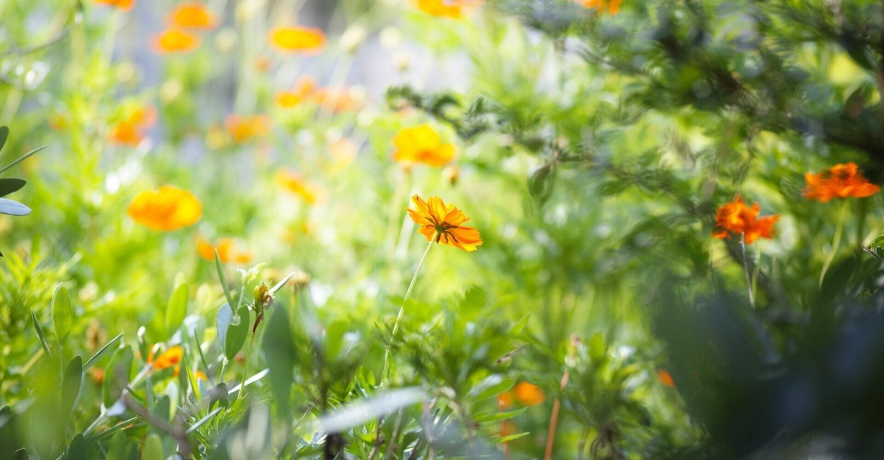 【移動】NPO法人noteへ｜（NPO法人化前）321プロジェクト記録＜現在更新はNPO法人の方で行っています。過去記事修正のみ＞｜note