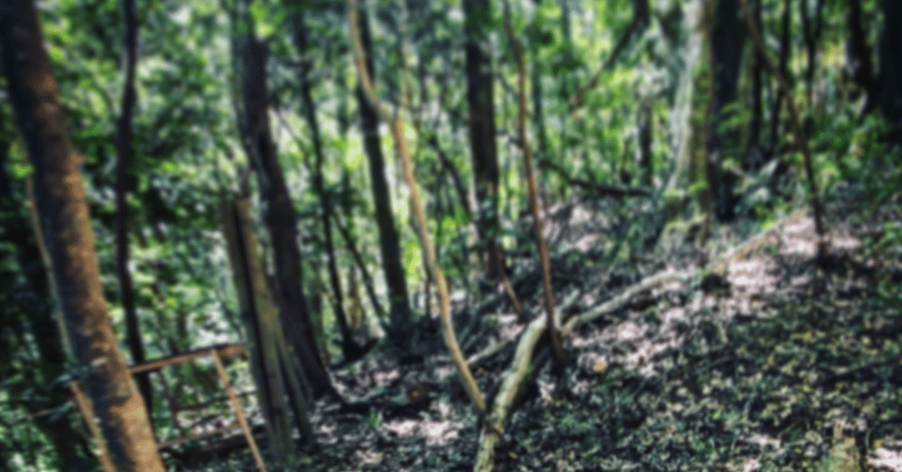 ニキビが出来てしまった時はどうしていますか？できちゃった時の対応とは｜小春日和 note フォロバ100％