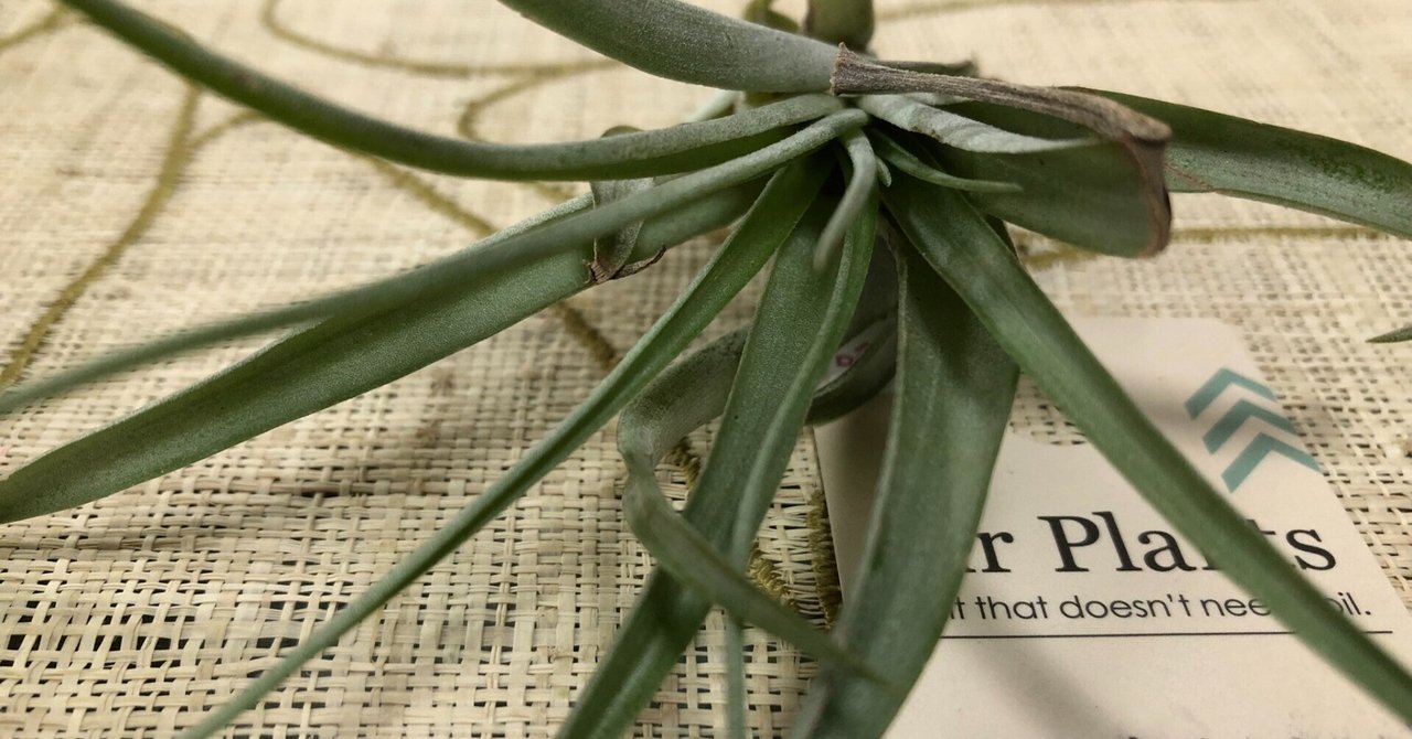 ふと・・・思う｜poporin