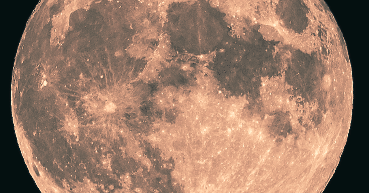 Tsukimi｜【Humpty Dumpty】@ https://humptydumpty.studio.site