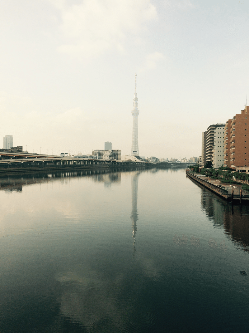 29：甲州三坂水面（こうしゅうみさかすいめん）｜yabusan（823）