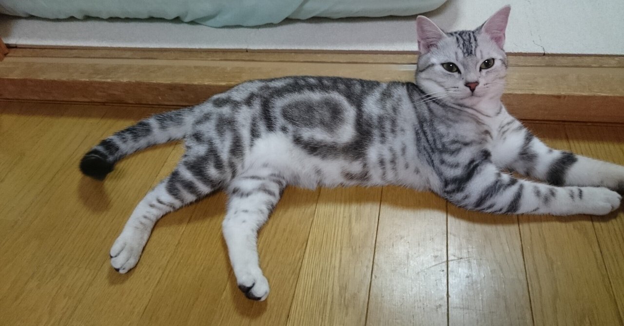 奇跡講座WB実践53 復習11～15｜(Linp&Ruru)本当の自分を知り、本当の自分として生きる