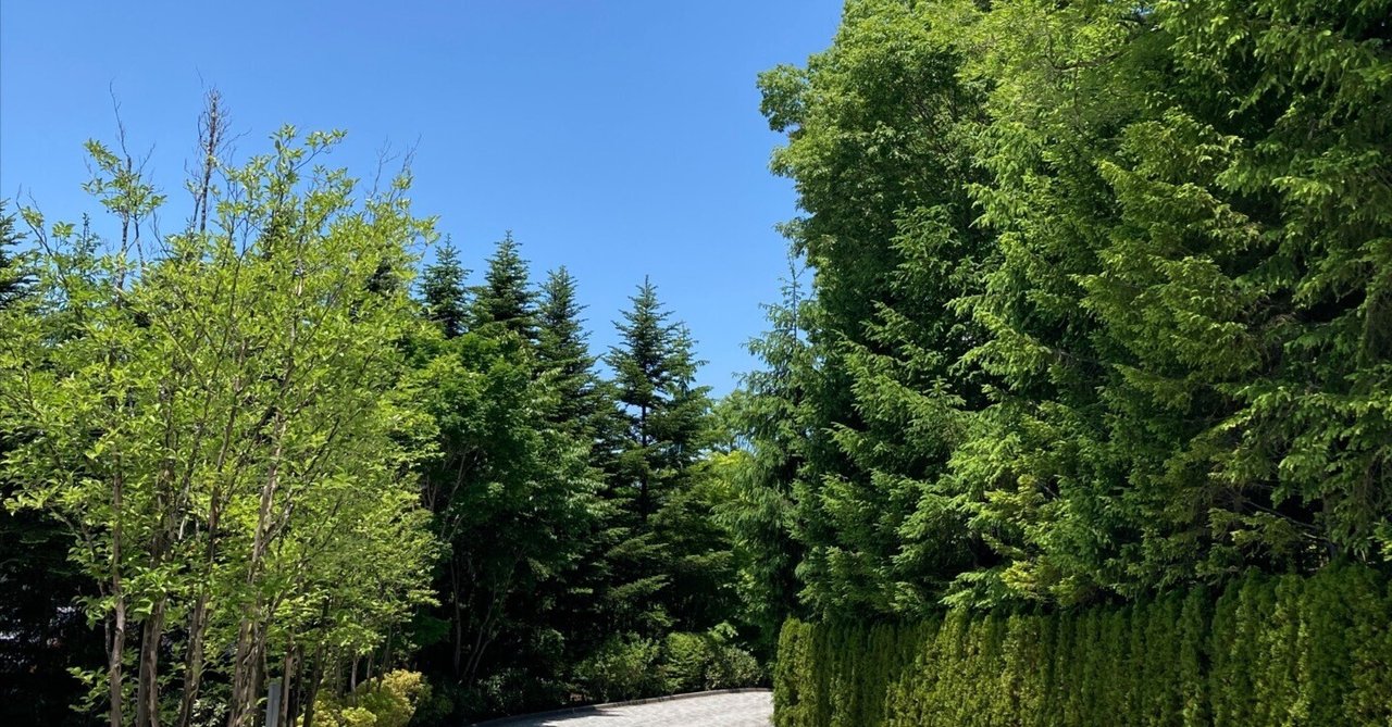 『風立ちぬ』 ＃映画｜Hitomi｜note