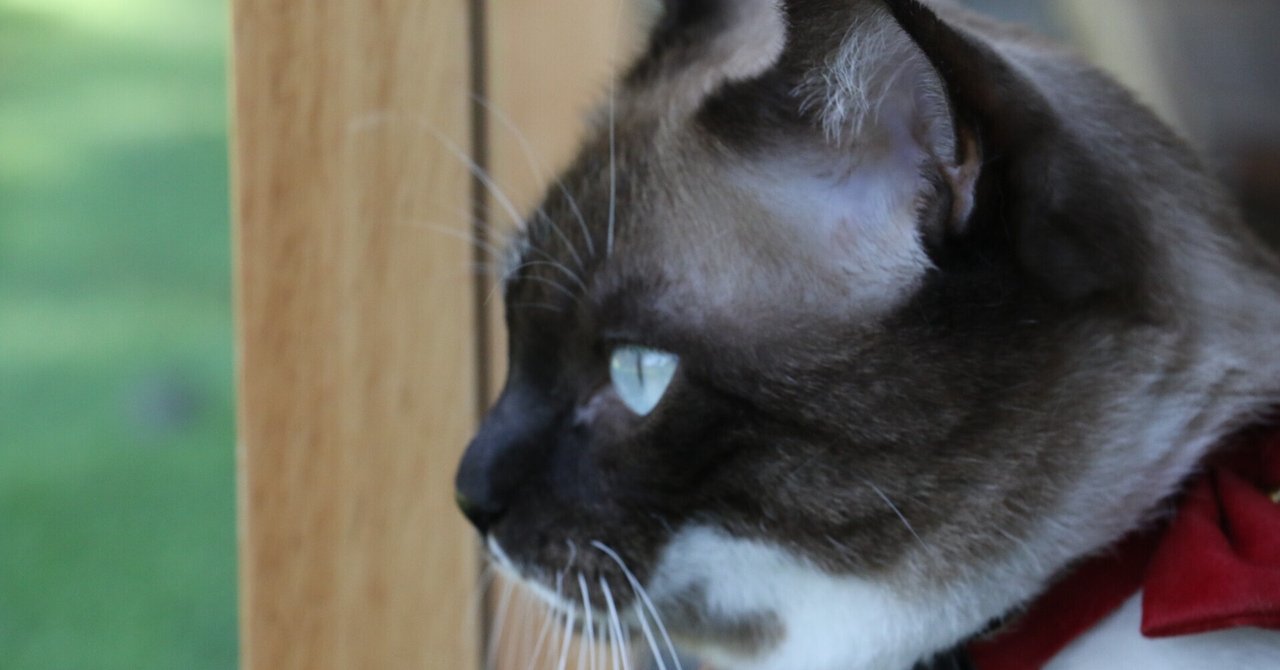 霊感とHSP｜Hackai Watanabe